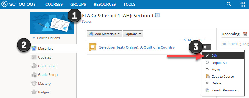 Using The LTI-A Schoology LMS Integration with Realize